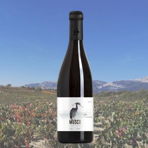 Tienda vinos Solar de Samaniego