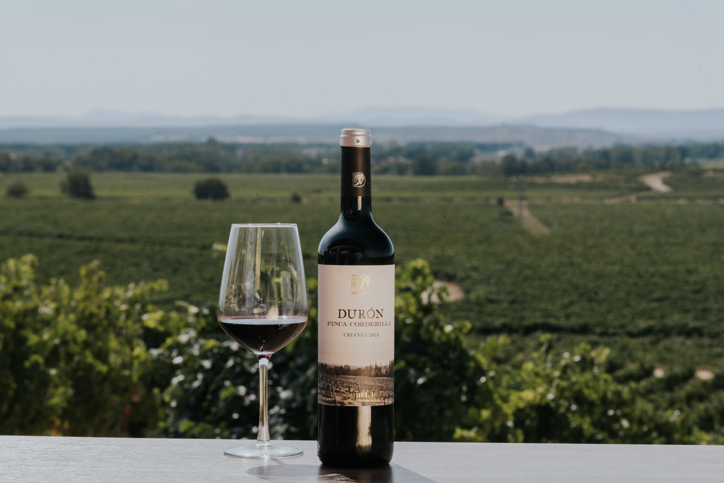 Qué es un Vino Seco y Cuáles son sus Características