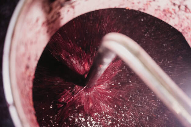 Qué es un Vino Seco y Cuáles son sus Características